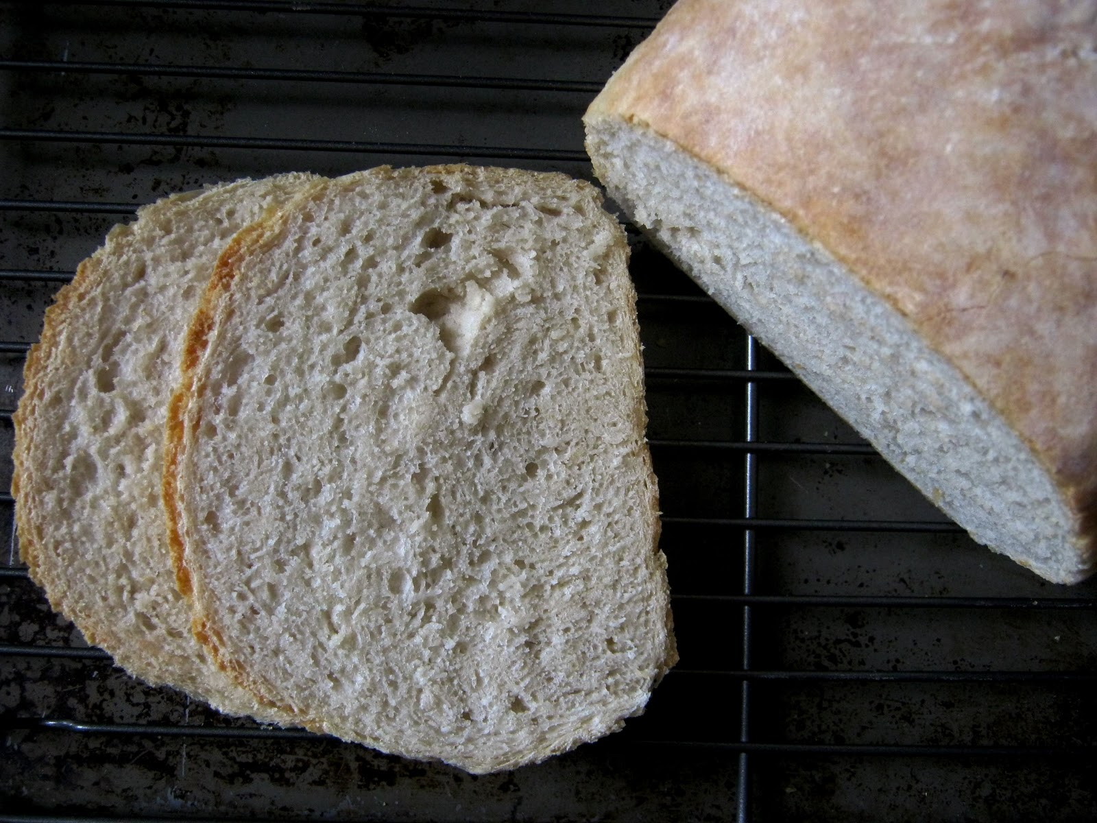 Sarah's Culinary Adventure: No-Knead White Bread