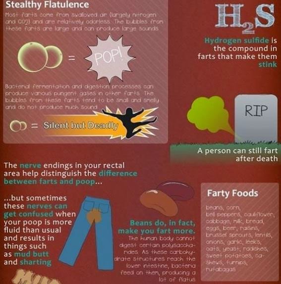 Facts about your farts (Infographic)