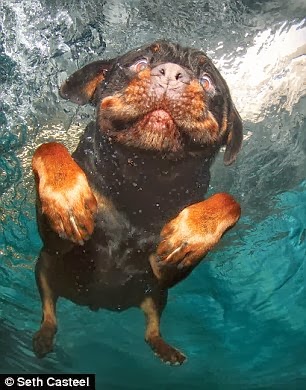 the Art of 12: Lewis Carroll, Charles Lutwidge Dodgson: Algorithms Et ...