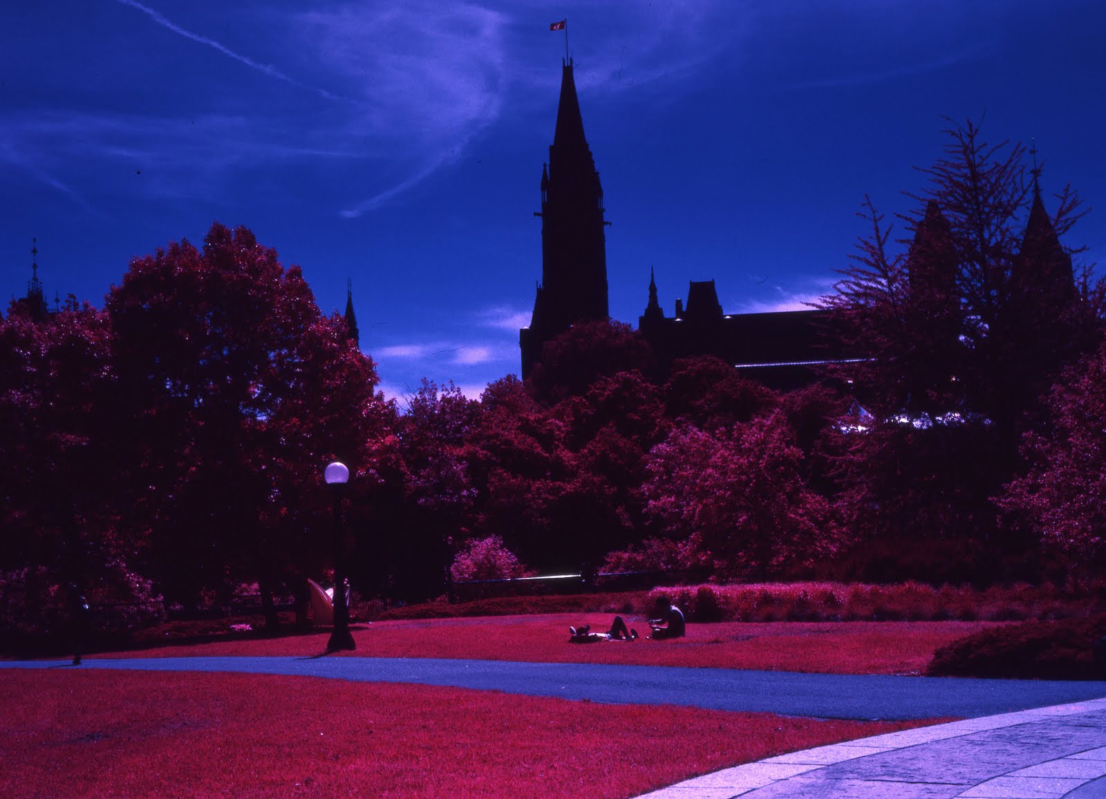 Chromaticmonastic: Kodak Aerochrome EIR Color Infrared Film