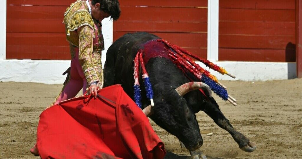 ÁNGEL JIMENEZ, UN NOVILLERO QUE ILUSIONA