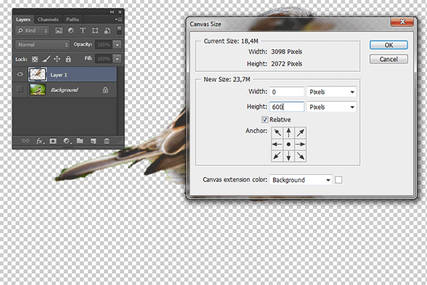 PhotoEffect: How To Create A Reflection In Photoshop