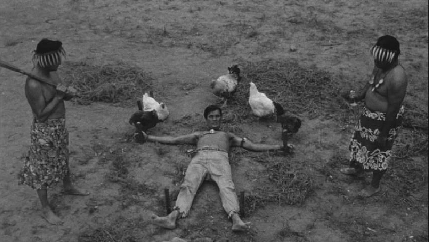 Review: From Hell It Came (1957)