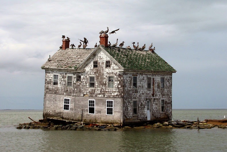 Deserted Places: Holland Island in the Chesapeake Bay