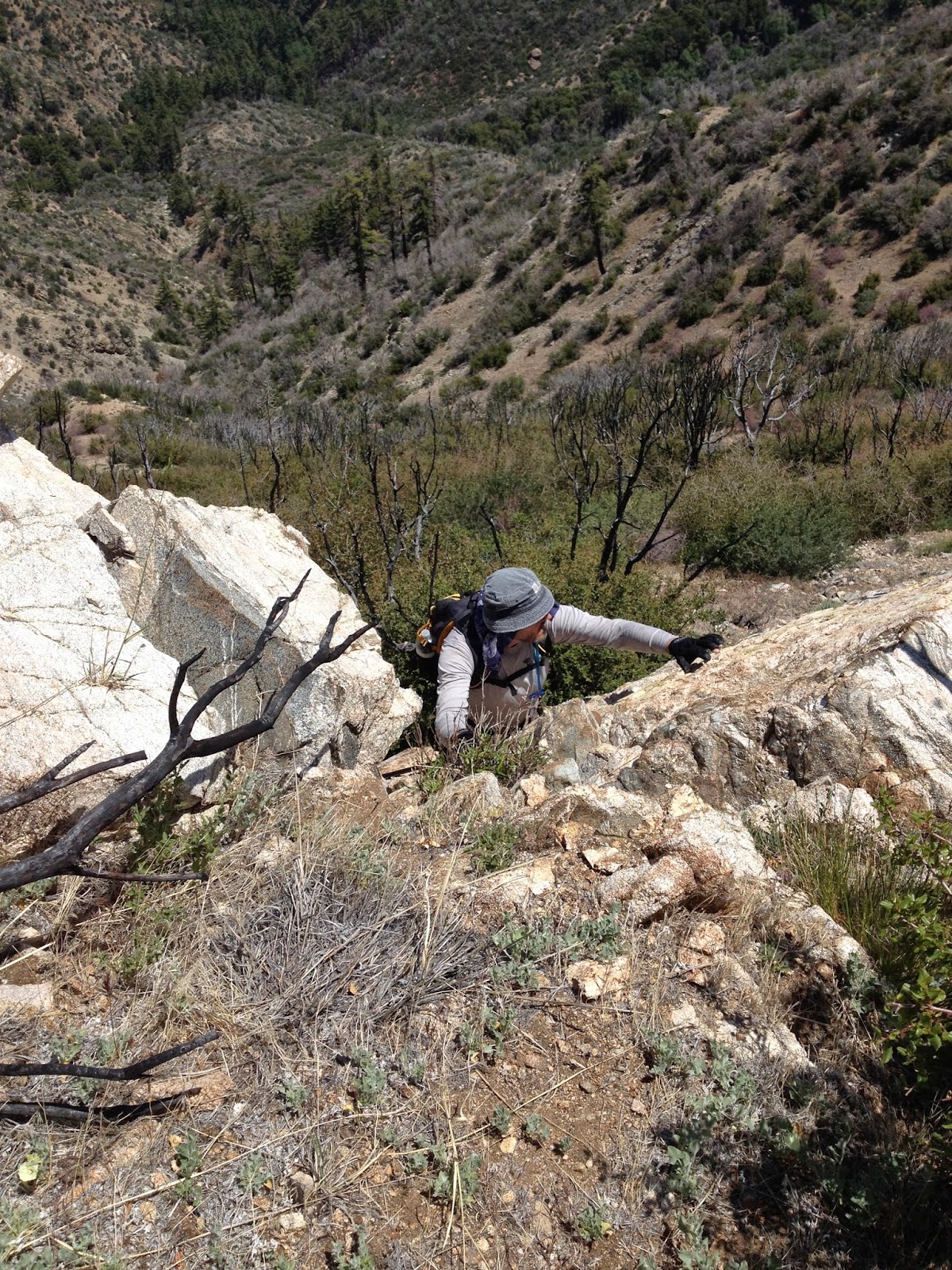 Iron Hiker: Cobblestone Mountain, Sewart Mountain, White Mountain