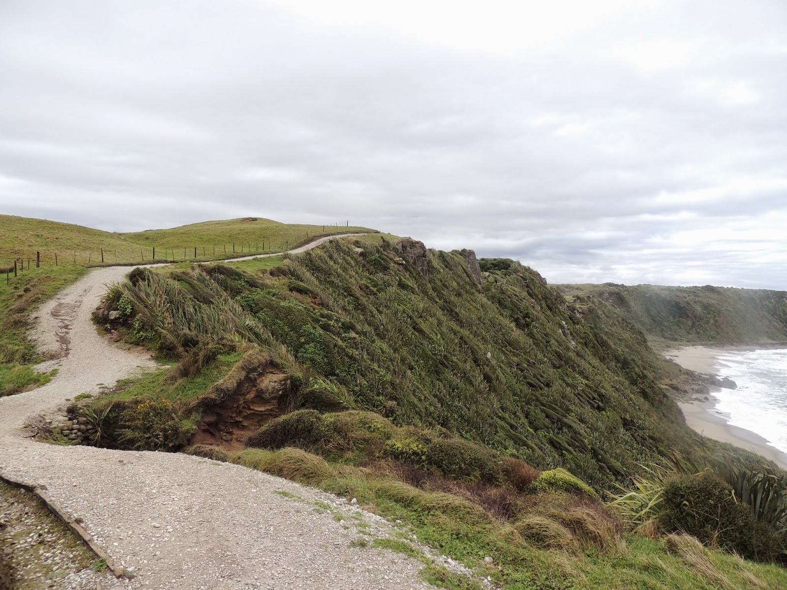 THE ROAD TAKEN : Cape Foulwind: West Coast NZ