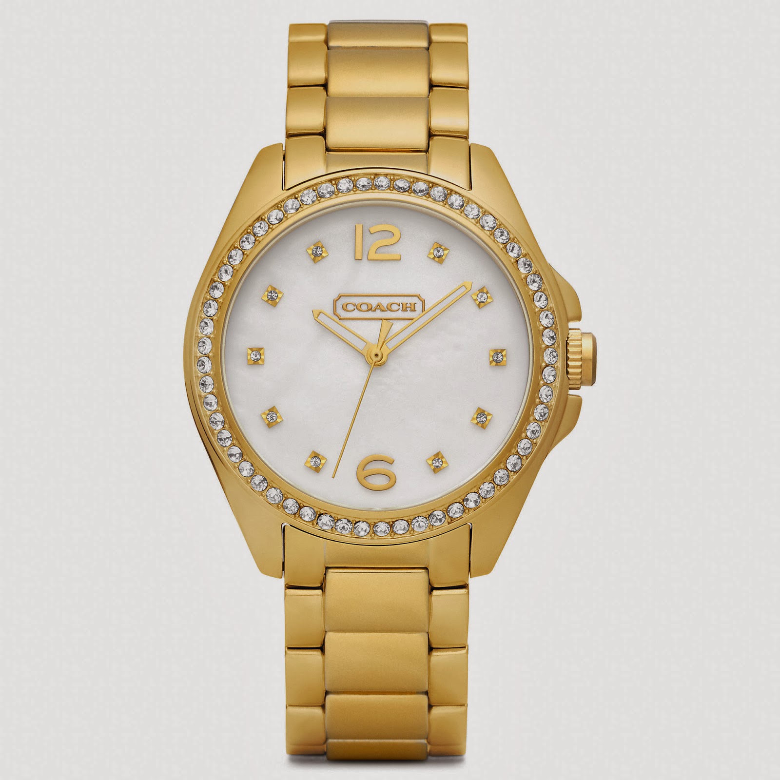 Coach USA Latest Watches for Men and Women 2013-2014