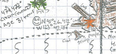 BIGFOOT'S bLOG: GPS COORDINATES FOR THE BLUFF CREEK PATTERSON-GIMLIN ...