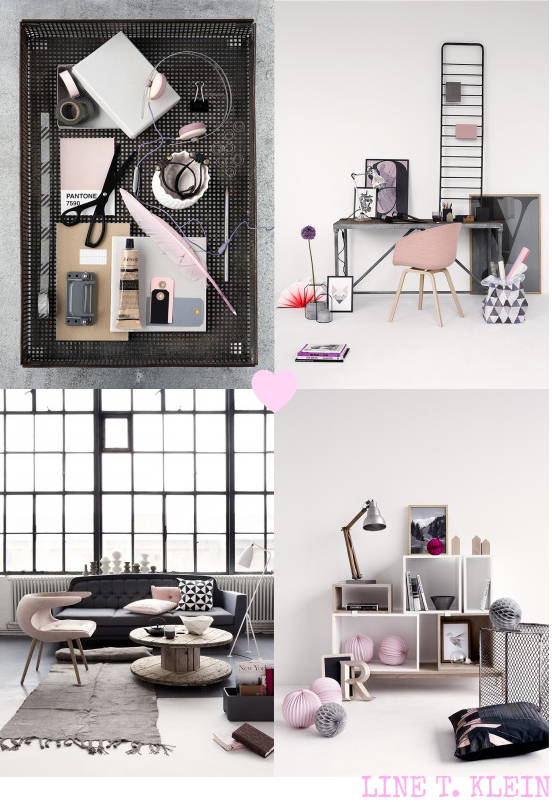 T.D.C: Through the Lens | Line Klein