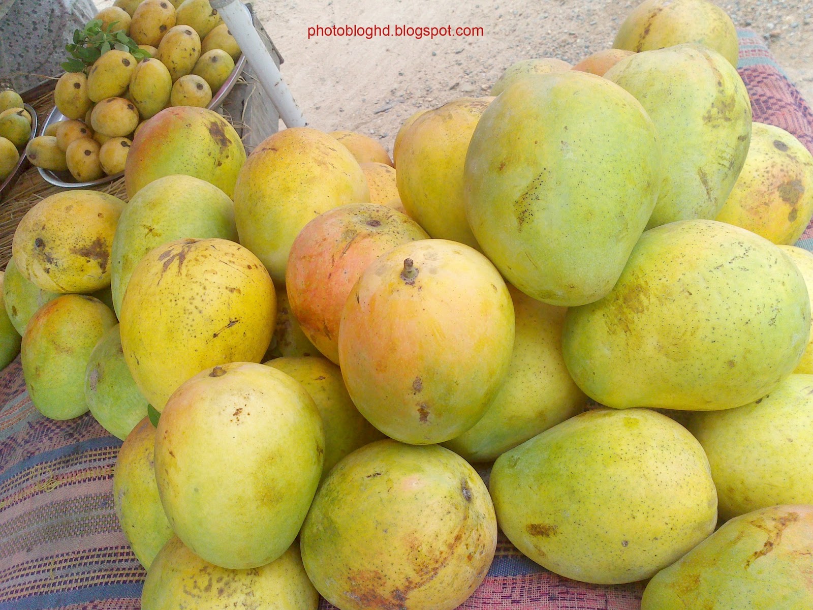 Mango, a delicious fruit ~ Photos Cambodia