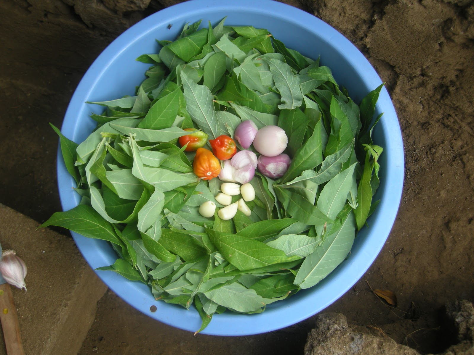 smilejustcoz: Local food - Mataba