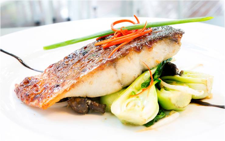 Virginia Tech Ichthyology Class : Sustainable Barramundi Fish Farming ...