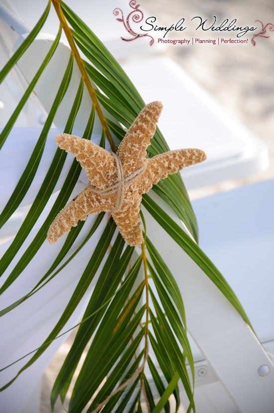 Well That's Just Me ...: Pinterest - Starfish Isle Decoration ...
