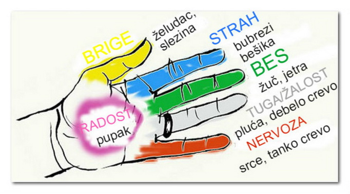 Kako su prsti na rukama neraskidivo povezani sa organima nešeg tela ...