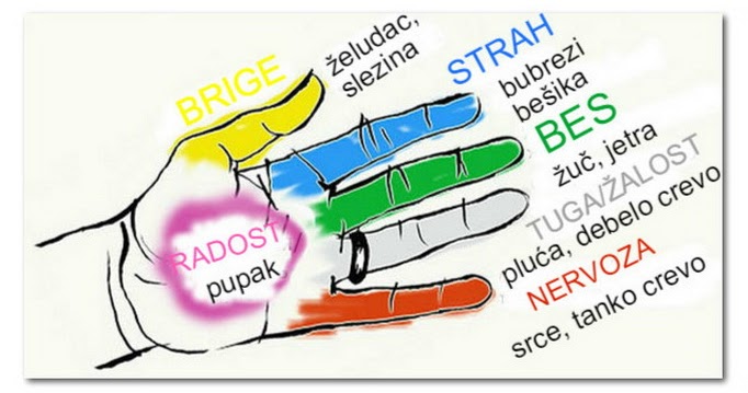 Kako su prsti na rukama neraskidivo povezani sa organima nešeg tela ...