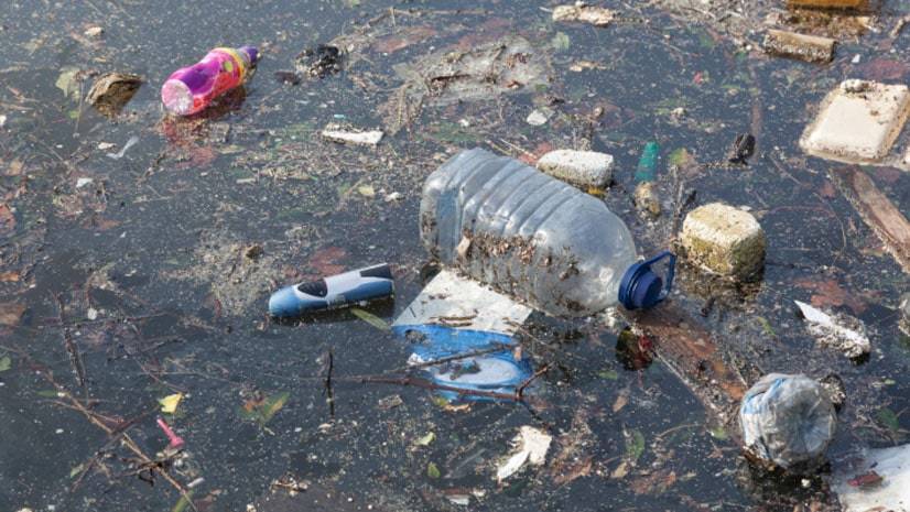 Water Pollution Everything You Need to Know - Dry Water Damage