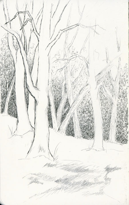 sbwatercolors and sketching: Winter Scene - Pen and Ink plus Color