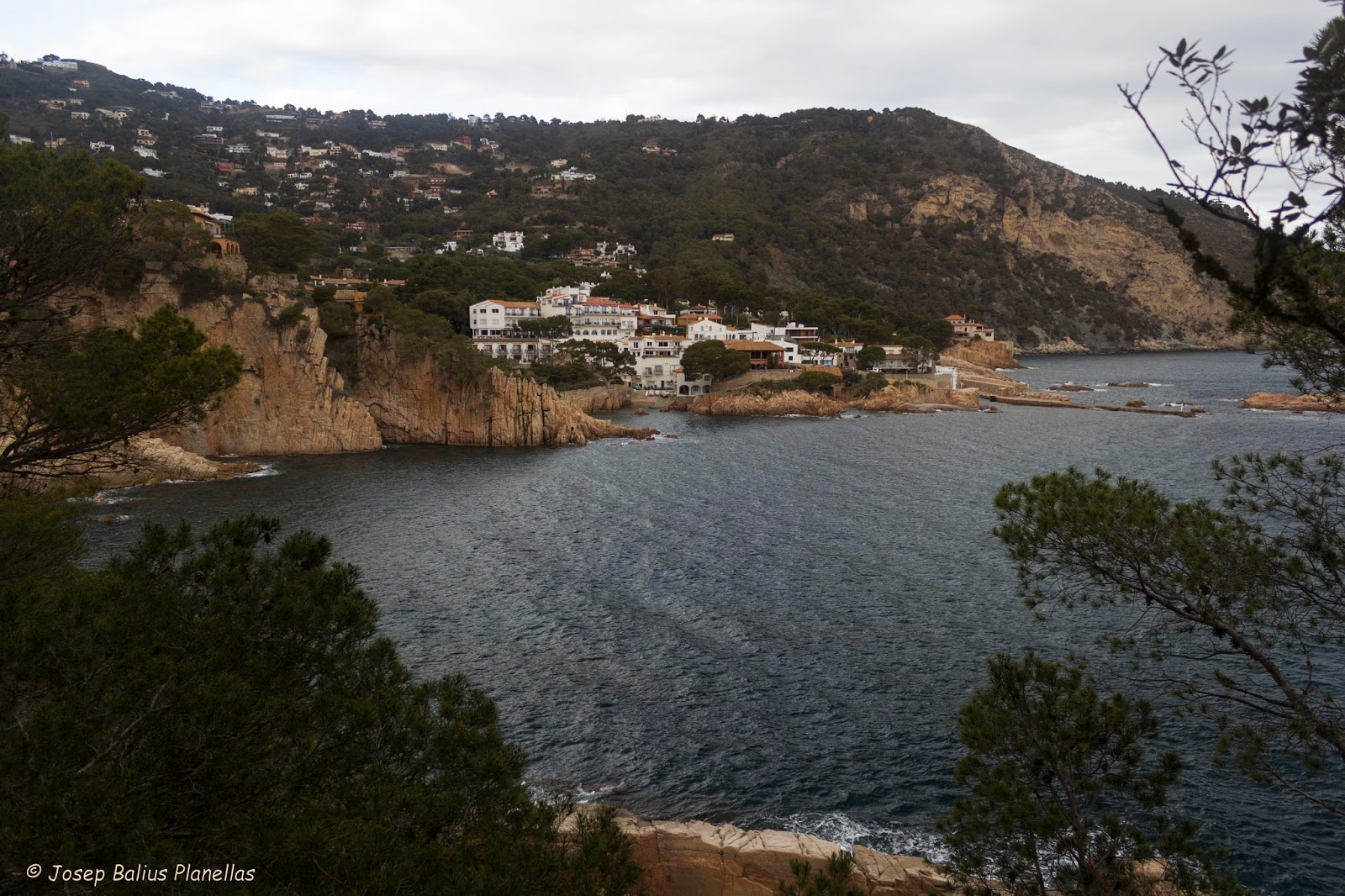 Racons de Catalunya: De Platja Fonda a Aiguablava (Begur)