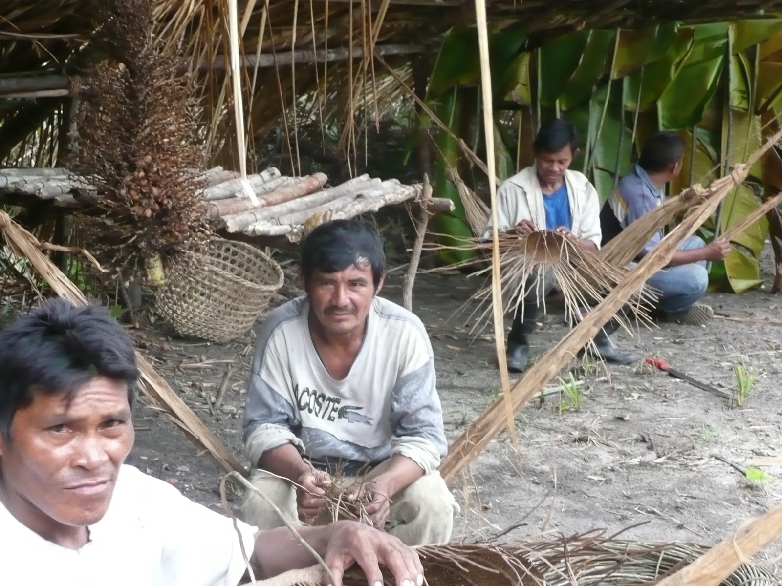 ARQUITECTURA INDÍGENA: AMBIENTACION DE UN SHABONO YANOMAMI or "Making ...