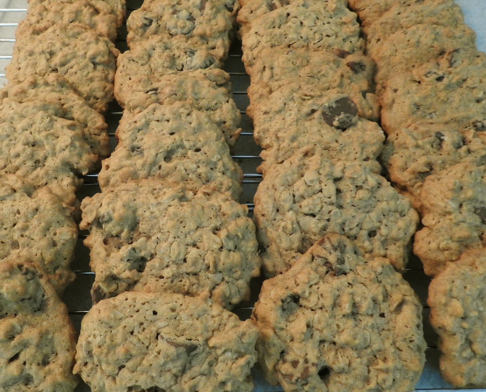 Mennonite Girls Can Cook: No Nuts Chocolate Chip Cookies - Gluten free