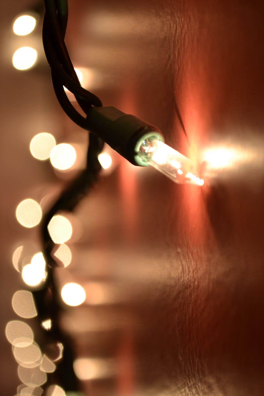 Spiritus Capere Photography: Bokeh