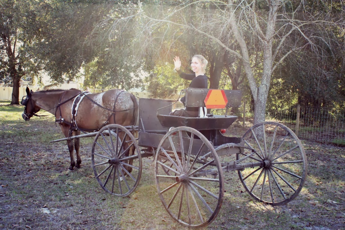 Wild Photography : Amish Photoshoot