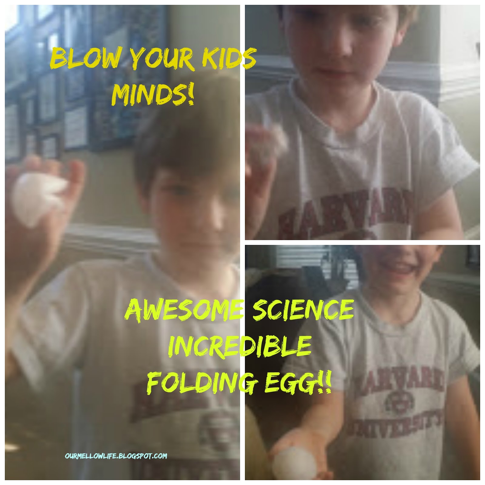How to Make A Freaky Foldable Egg and BLOW your Friends Minds!!!