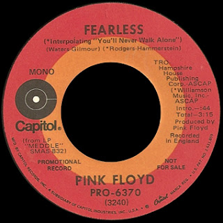 Reading between the Grooves: Pink Floyd: Fearless