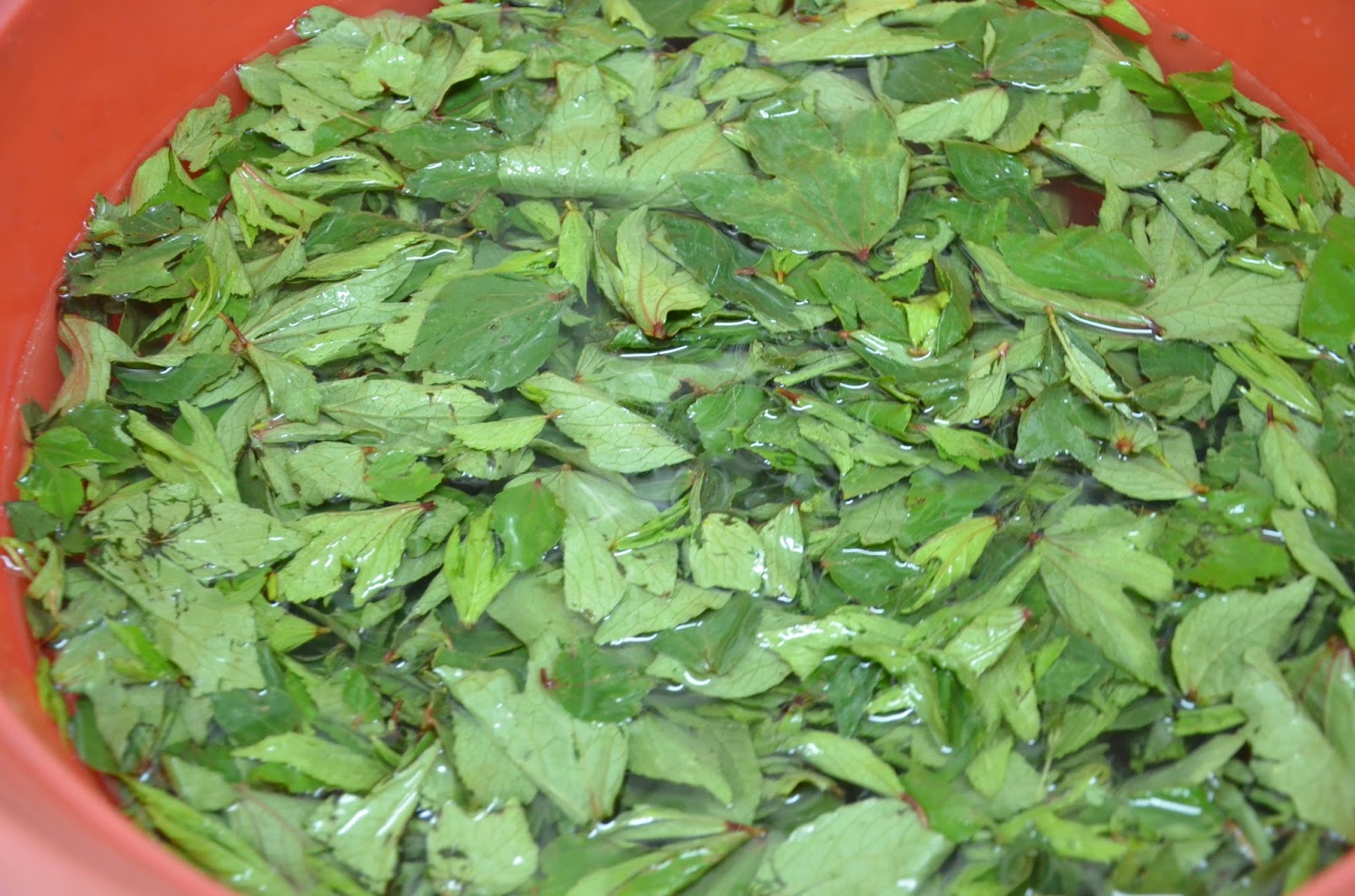 Su's Recipes: Gongura Pachadi/Chutney