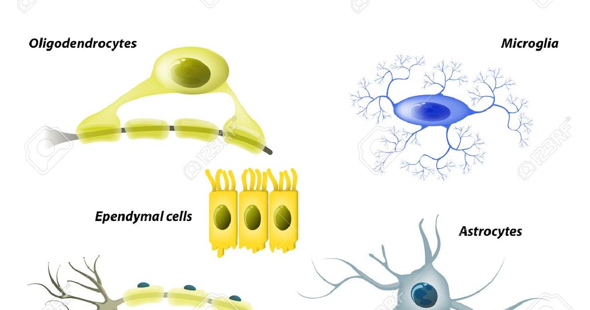 Glia - Medically