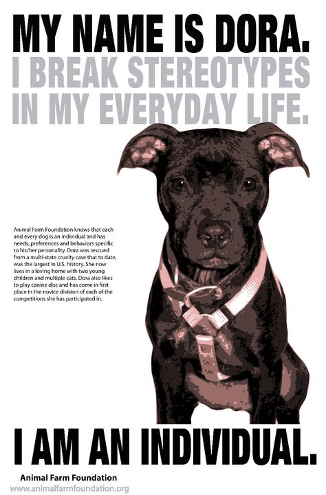 Passion for Pits: Animal Farm Foundation Posters