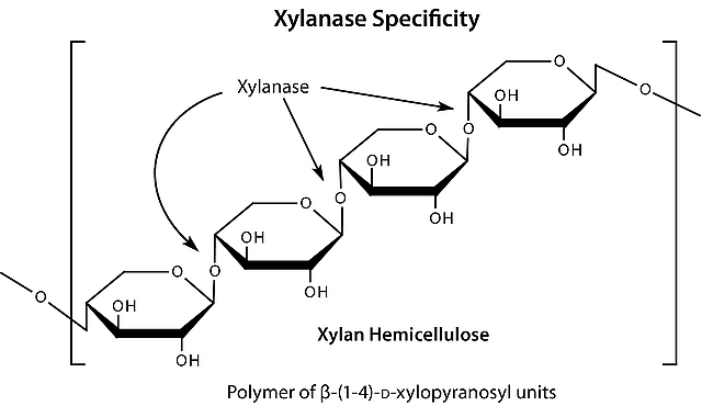 Journal and Conferences on Biomedical Engineering: August 2016
