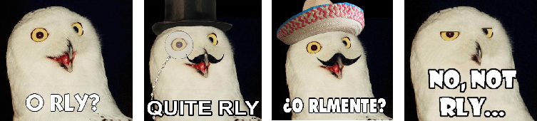 what does it all mean?: Internet memes (I)