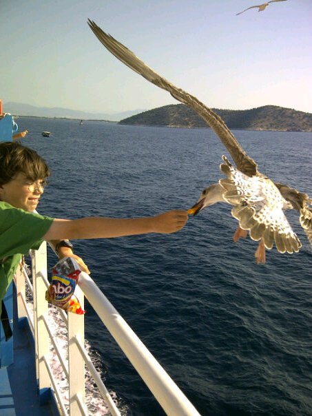 Pufuleţi pentru pescăruşi - Doi lei și-o pisicuță