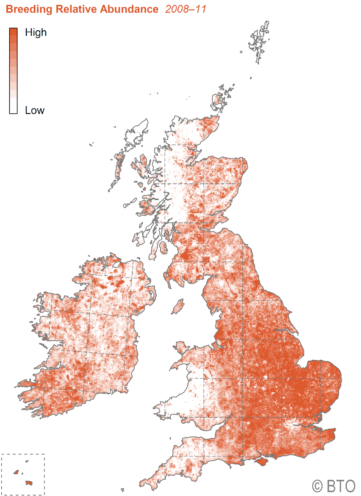 TrogTrogBlog: Bird of the week - Kestrel