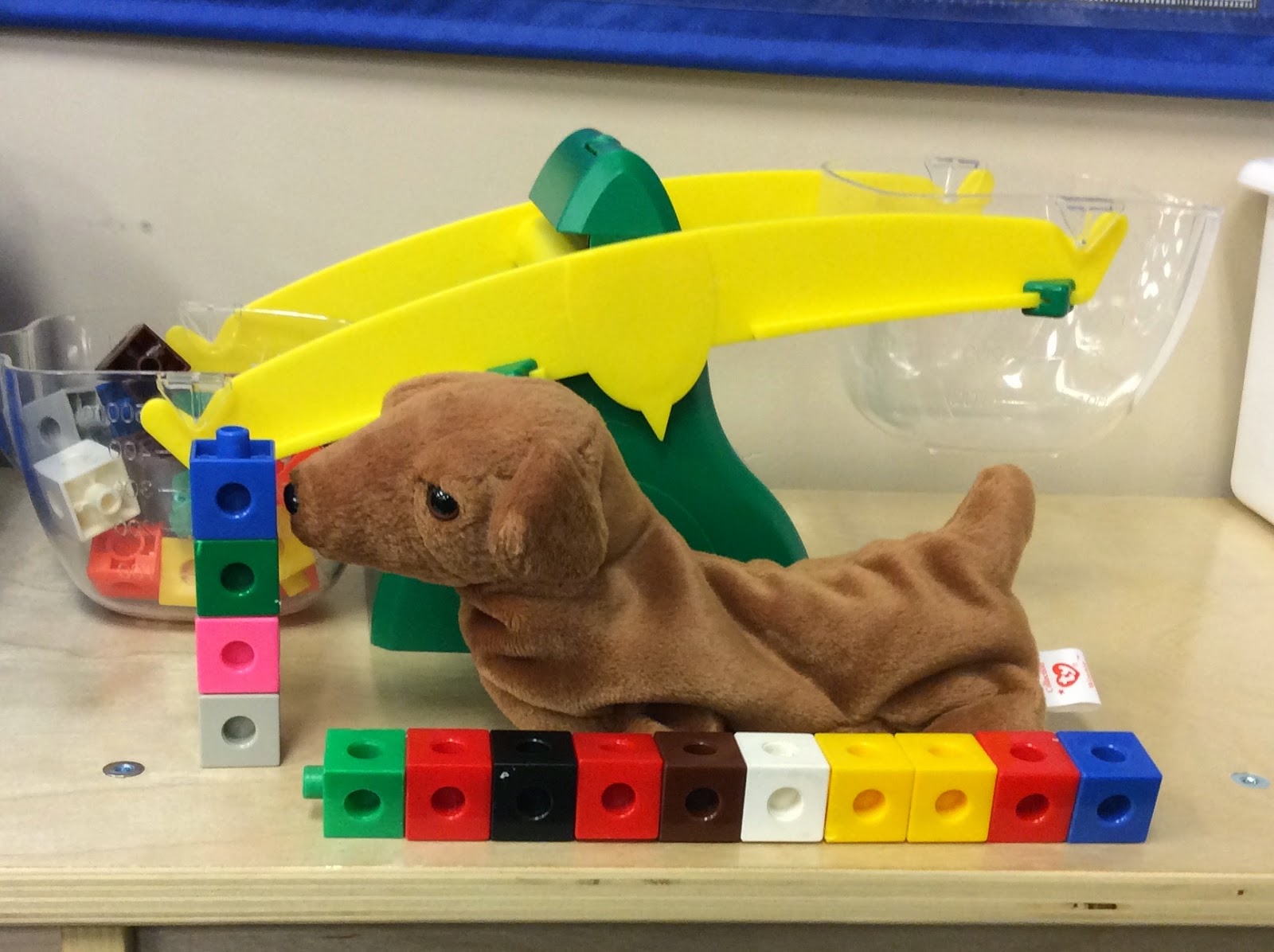 Classy in Kinder now Fancy in First: Dramatic Play - Pet Vet