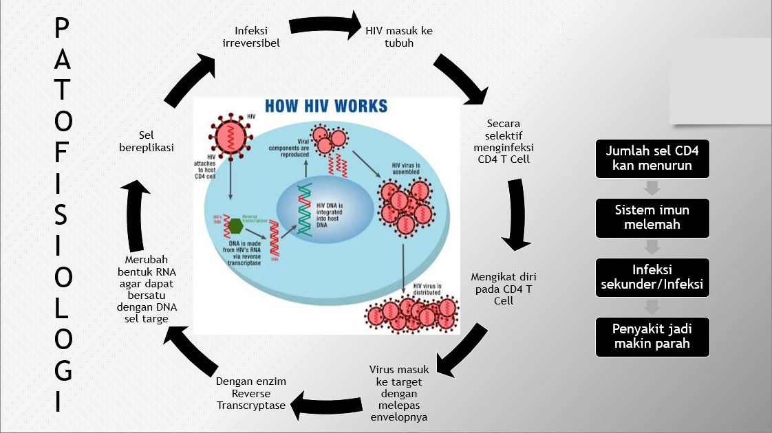 FARMAKOTERAPI: [PPT] TATA LAKSANA TERAPI HIV/AIDS