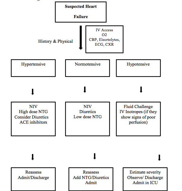 EM Didactic: Cardiogenic Pulmonary Edema: Hold on before pushing ...