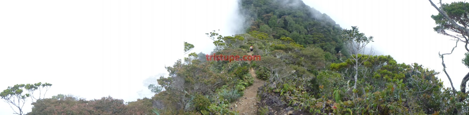 Sabah Adventure Challenge Race Report : Longest Day 1 ~ TRISTUPE.COM