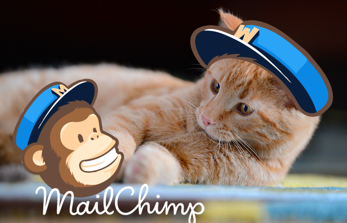GLOGIRLY: Introducing Mail Chimp & Bloglovin' for GLOGIRLY