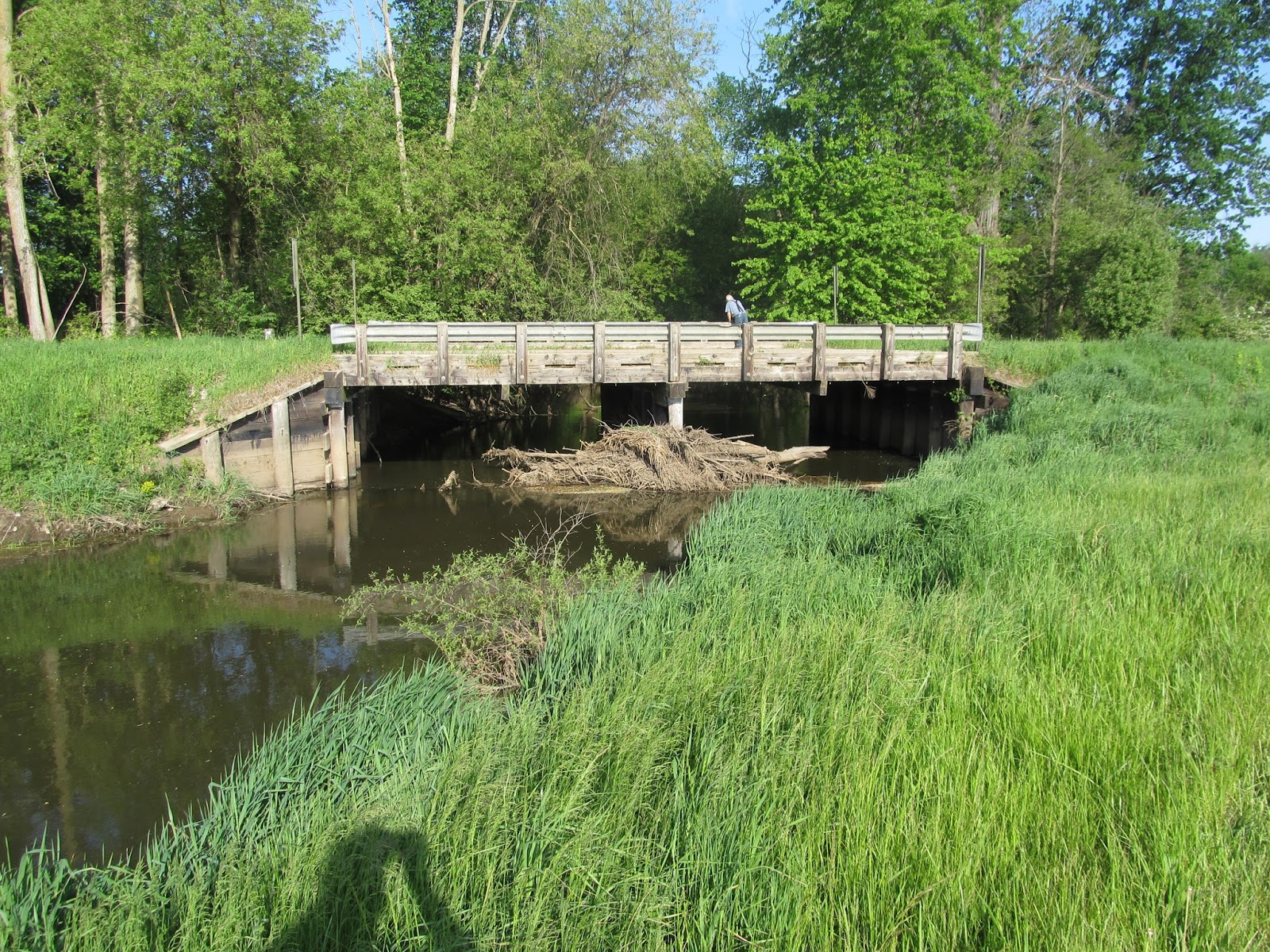 Eaton Rapids Joe: The Bridges of Eaton County: Thornapple River edition