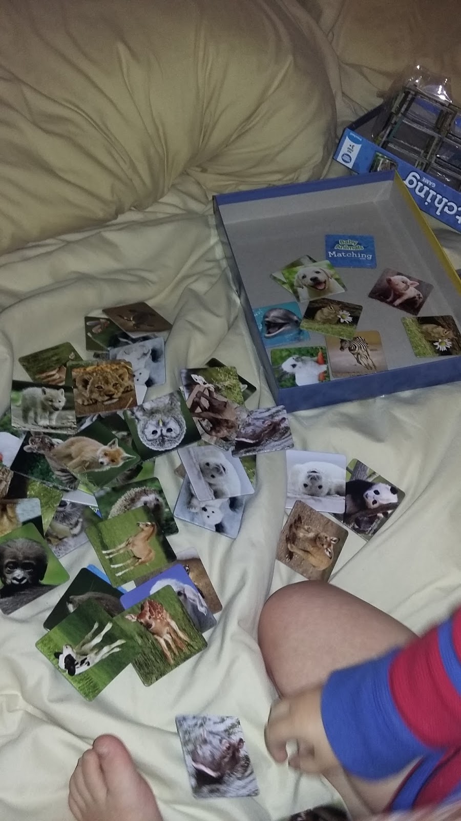 Kindergarten Week 23