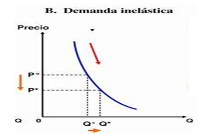 Economía Para Los Negocios 7º IDIE: LA ELASTICIDAD DE LA DEMANDA