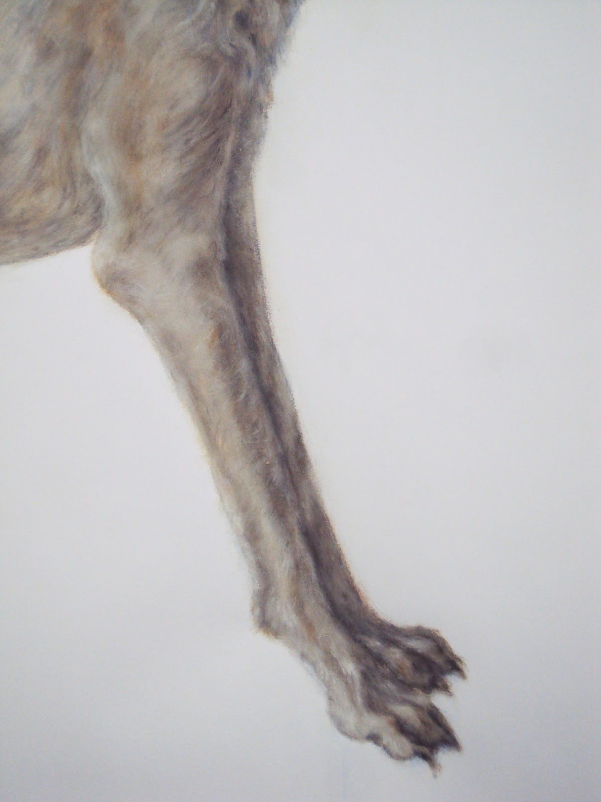 Ann-Marie Tully: Brak I