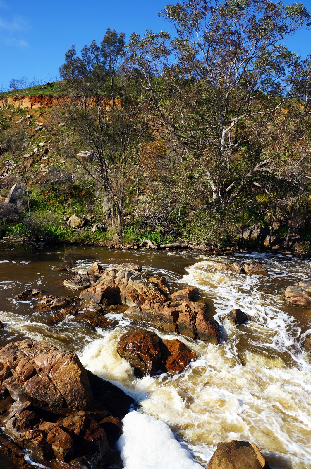 Bells Rapids Walk Trail (Bells Rapids Reserve) ~ The Long Way's Better