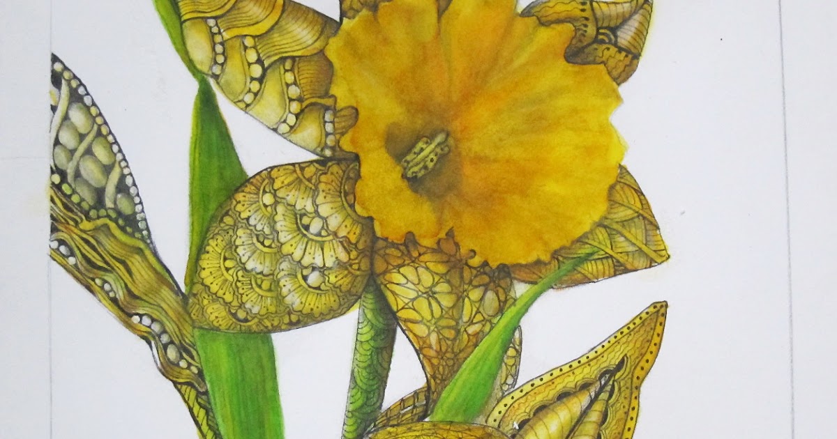 Botangle: April Showers Bring May Flowers