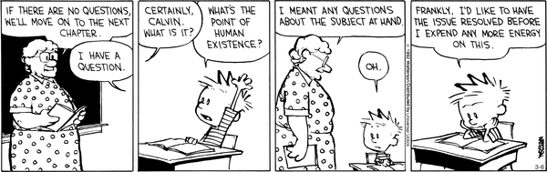 Calvin & the All-Important Issue of Salt