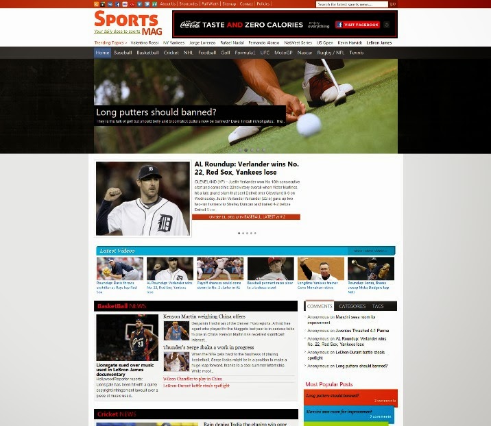 20+ Best Sports WordPress Themes - Webprecis
