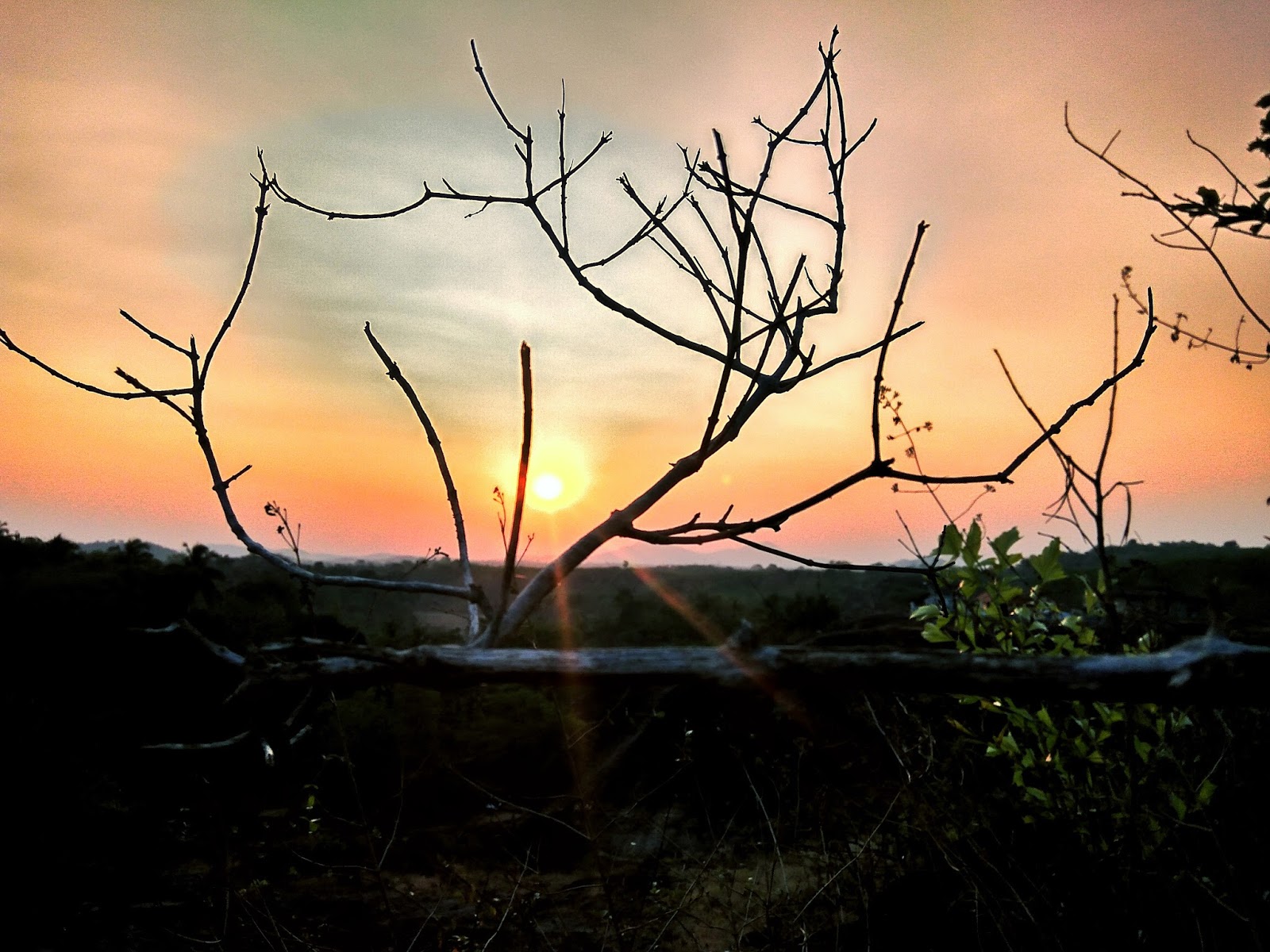 The EYE of Nature: evening sunset