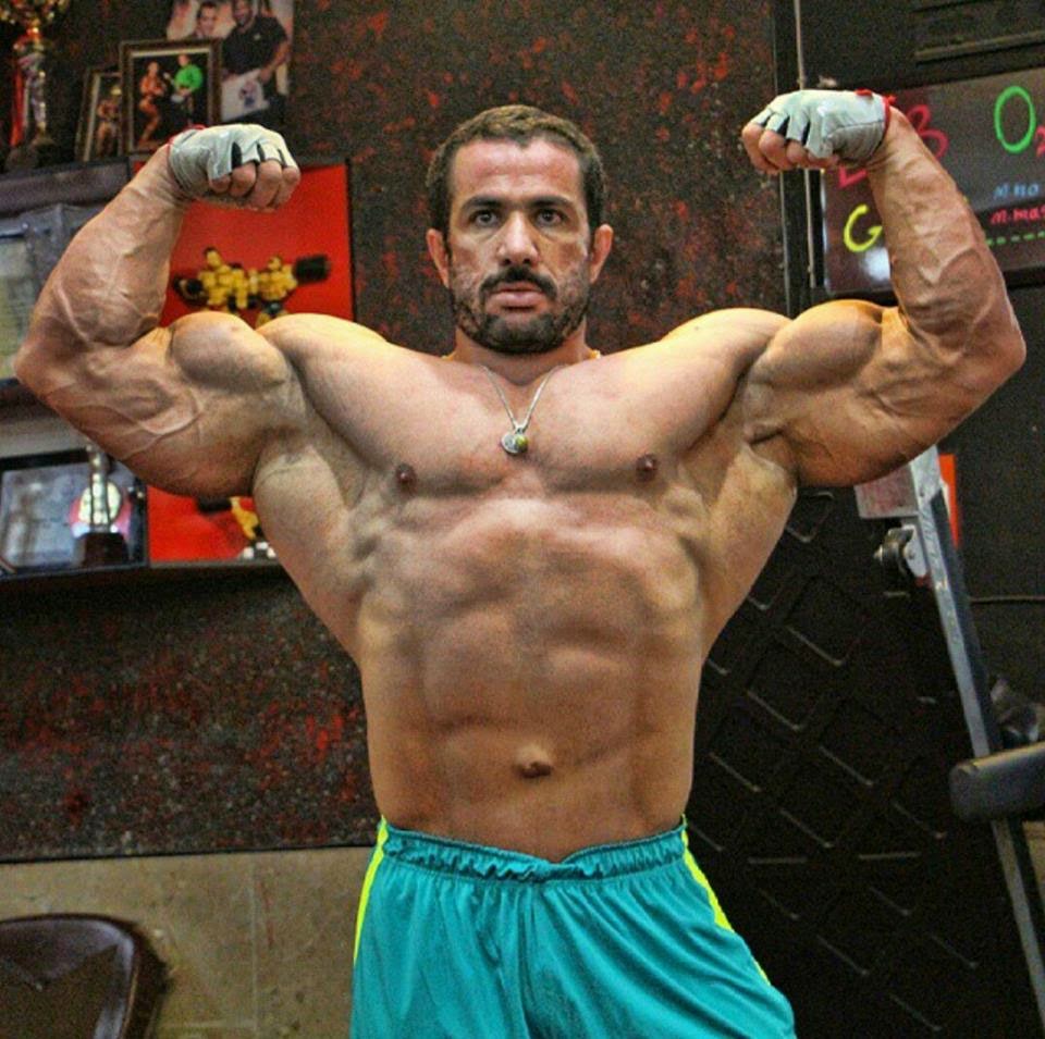 Muscle Lover: Iranian Super-Heavyweight bodybuilder Mojtaba Notarki (2)